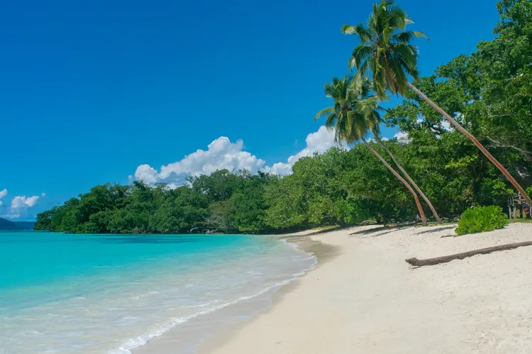 Port Olry Beach: la playa más paradisíaca del mundo según expertos